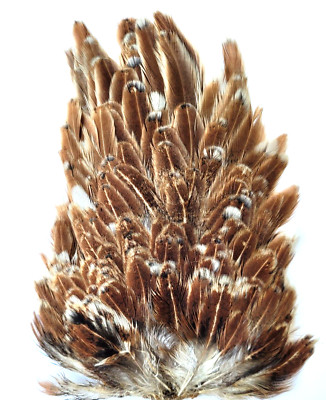 INDIAN HEN BACK - Soft Hackle Saddle Feathers - FLY TYING MATERIALS ...