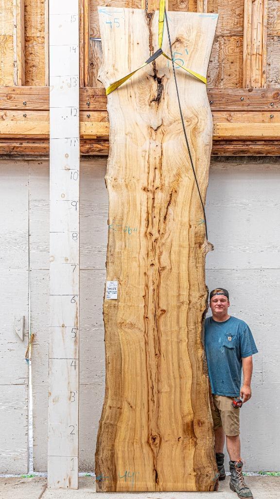Huge Live Edge Wood Slabs