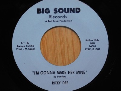 Ricky Dee Michigan Mod Garage Dancer 45 Im Gonna Make Her Mine bw Girl ...