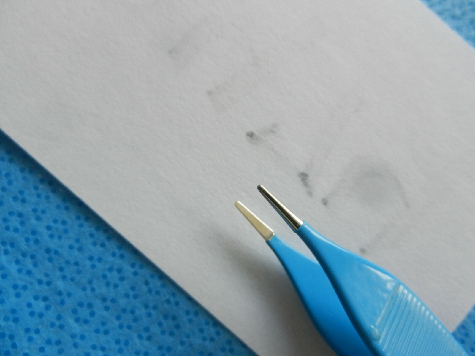 Padgett Surgical Adson Bipolar Forceps P9412 | eBay