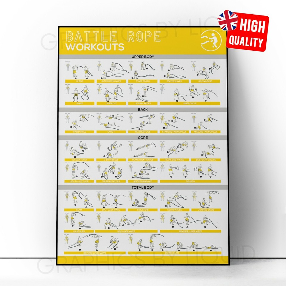 GYM WORKOUT POSTERS Exercises Dumbbell Barbell Kettlebell Cable Machine ...