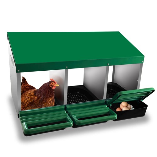 Triple Chicken steel nesting box with roll away egg chute - Three hole ...