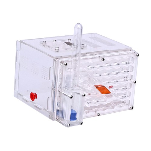 ANT Housing Nest DIY Educational ANT Cage for Decoration Children's Day ...