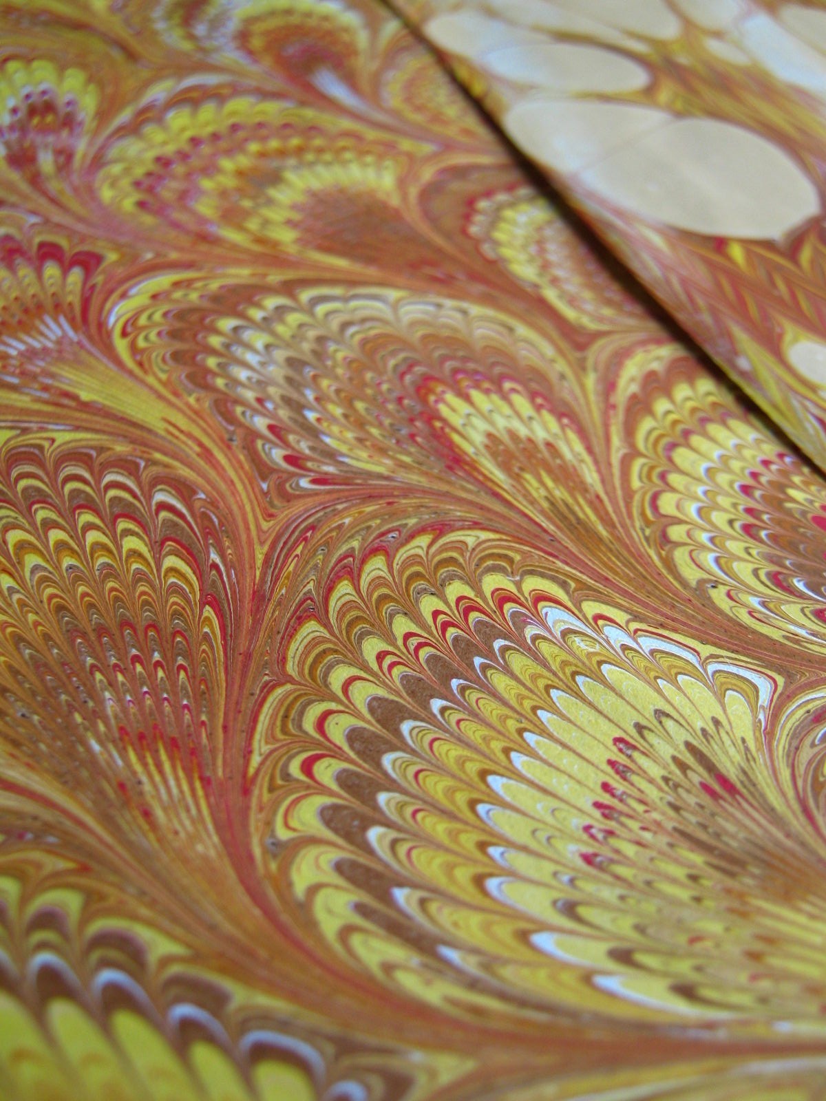 Advanced Tools Set Marbling on Paper & Fabric Supplies Materials Comb ...