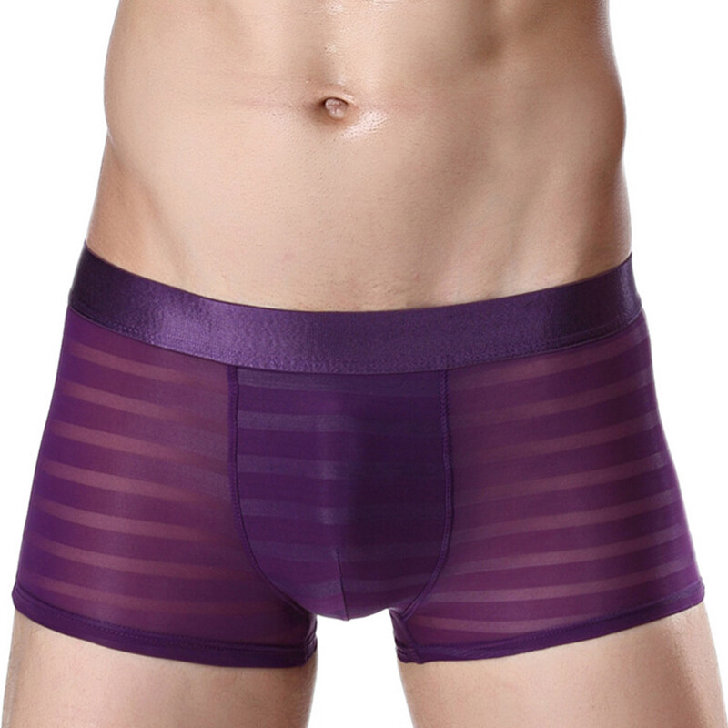 Mens Sheer Boxer Shorts Brief Mesh Pouch Underwear Panties Swim Trunks ...