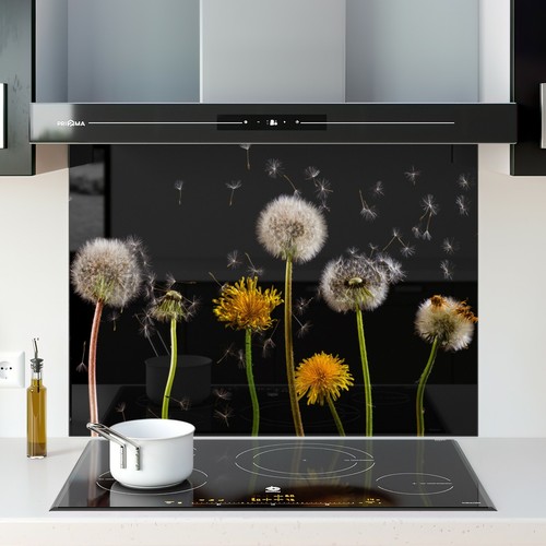 Kitchen Glass Splashback Toughened Tile Cooker ANY SIZE Dandelion ...
