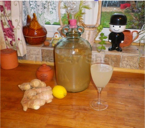 Ginger Beer Making Kit Full Starter Homebrew Glass Demijohn Plus Mead ...