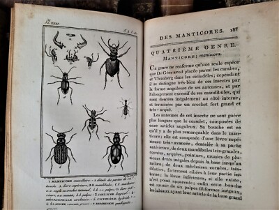 1804 BUFFON - NATURAL HISTORY OF CRUSTACEANS AND INSECTS With ...