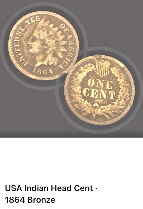 Indian Cent Collection in Dansco Album, 54 Coins Included, AG-MS | eBay