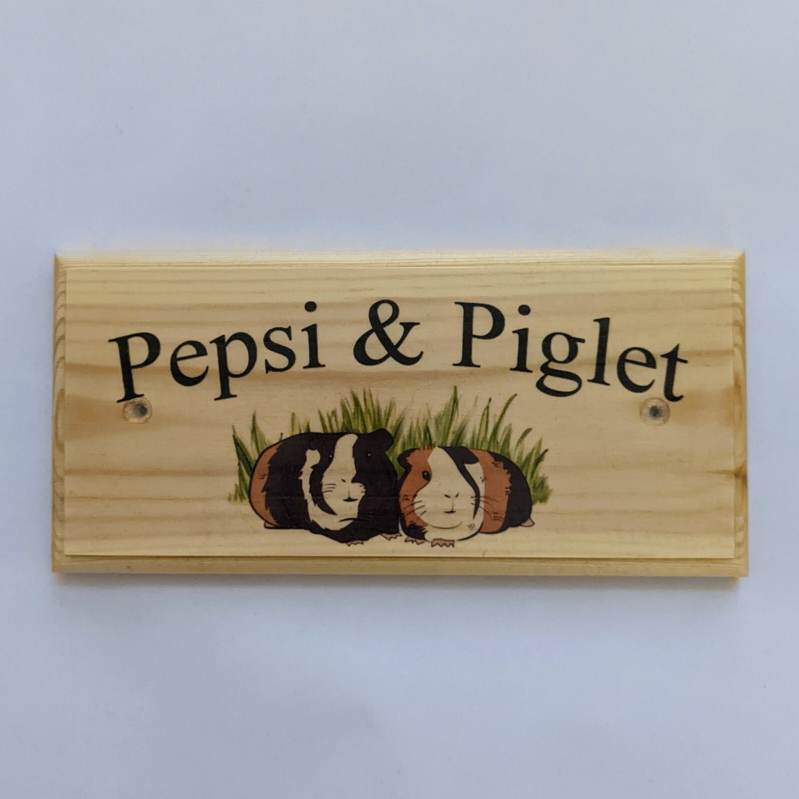 Personalised Guinea Pig Sign, Guinea Pig House Name Plaque, Custom ...