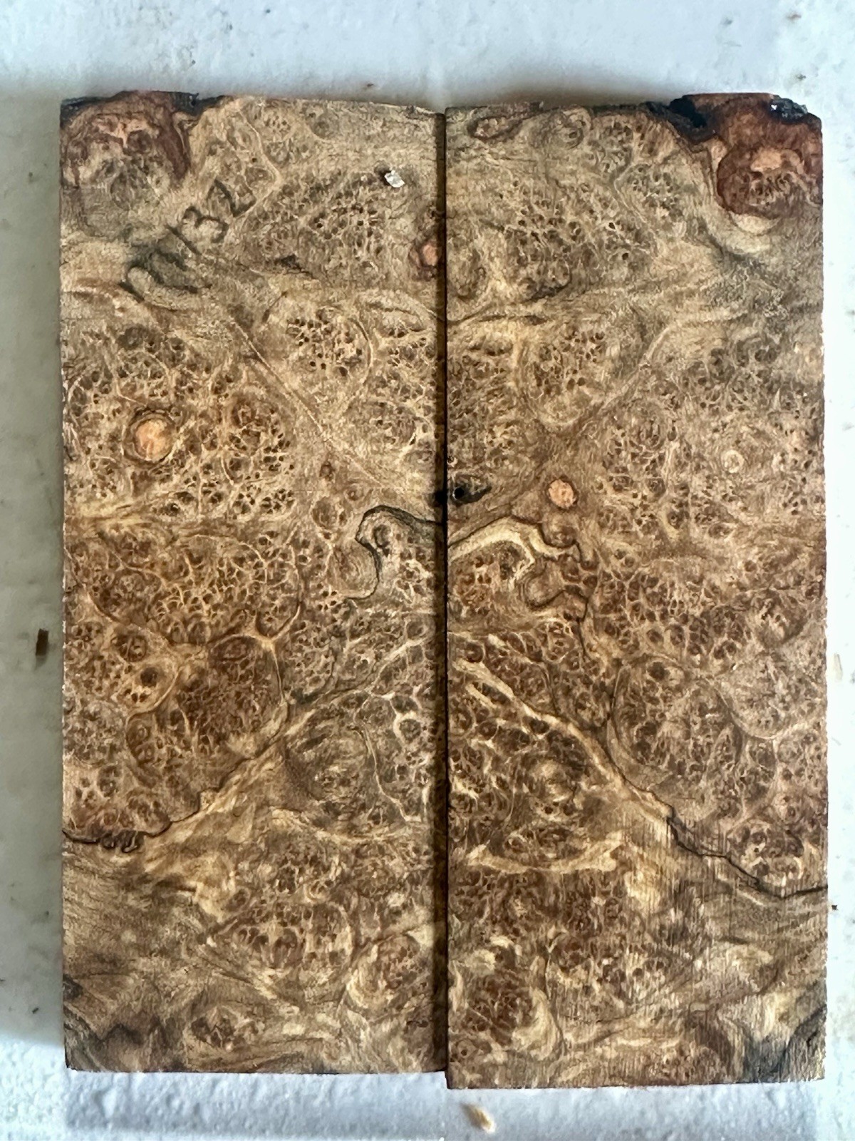 M132 Stabilized Spalted Maple Burl Knife/Axe/Gun Scale 2x5x3/8 Birds ...