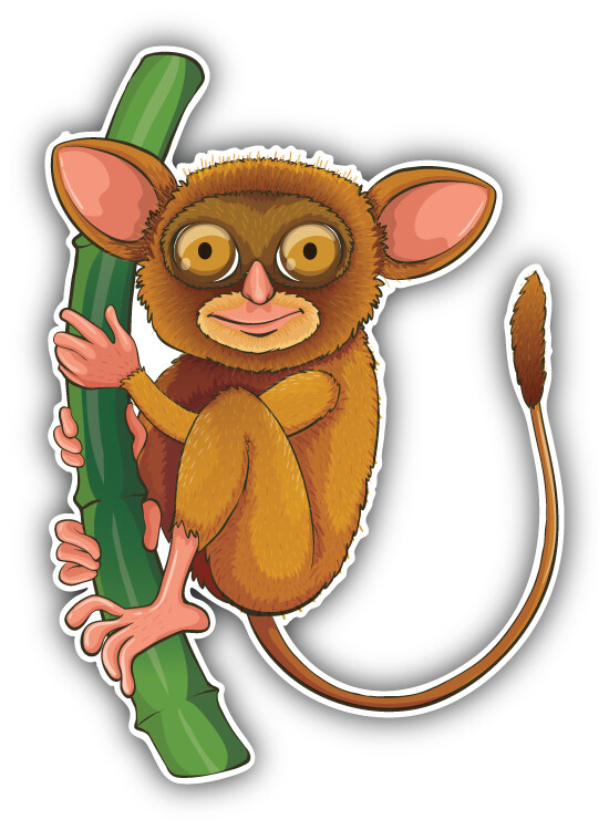 Funny Tarsier Car Bumper Sticker Decal - ''SIZES'' | eBay