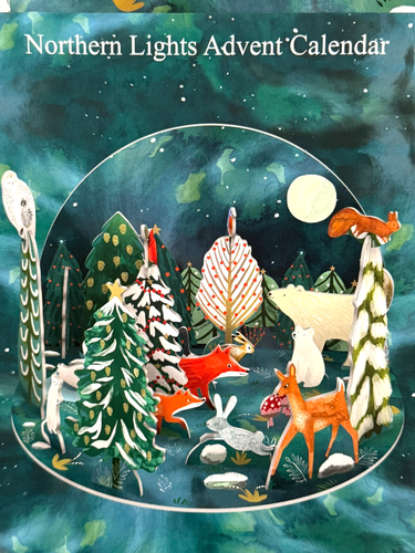 NEW Roger la Borde ~ Pop and Slot 3D Advent Calendar "Northern Lights ...