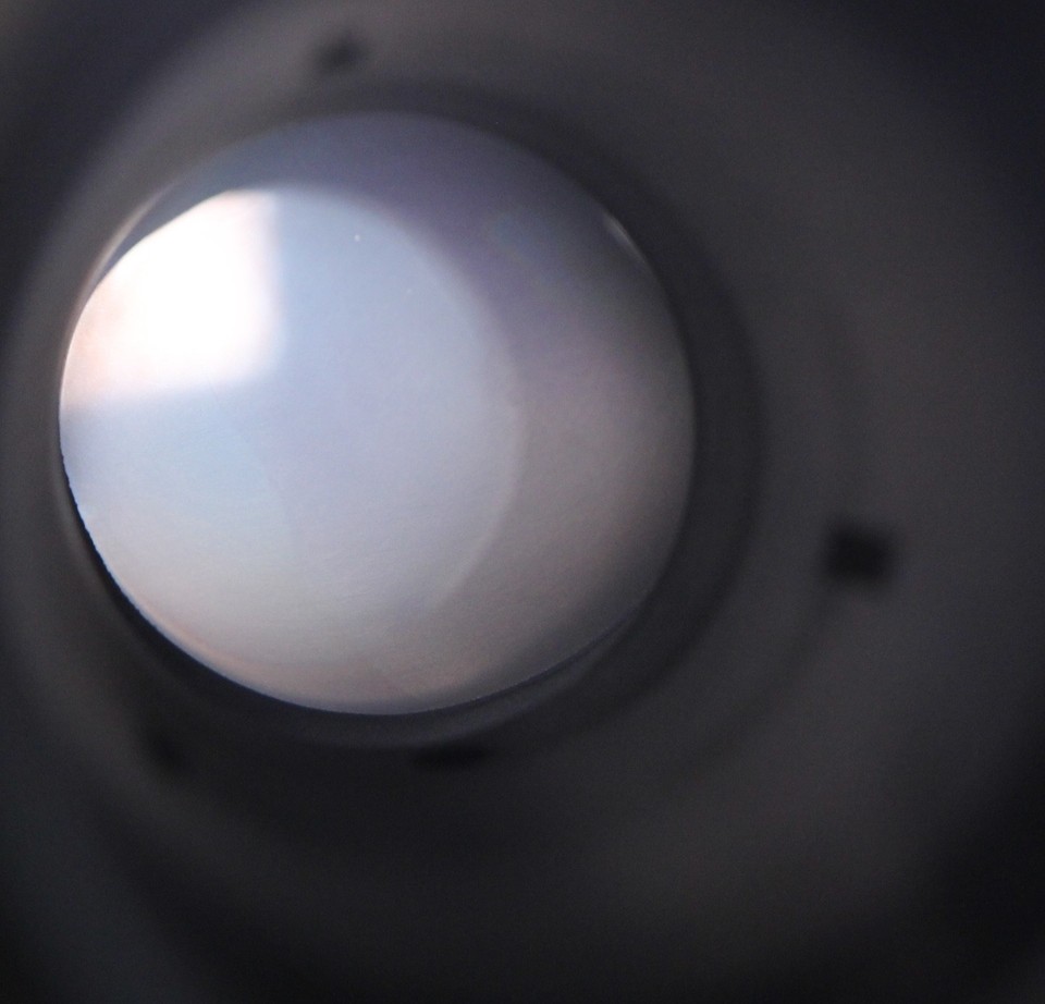 Swarovski Habicht SL 8x56 Green Binoculars Austria Free US Shipping ...