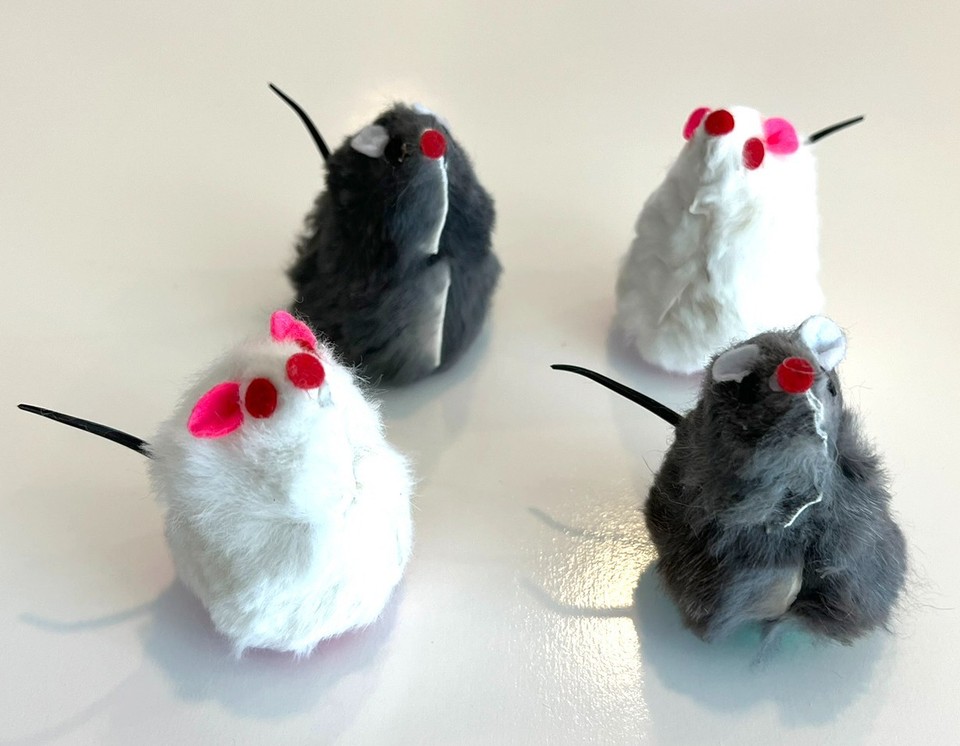 Go Cat Da Wobble Real Rabbit Fur Mice 3,4,6 Qty Da Bird Kitten fun | eBay