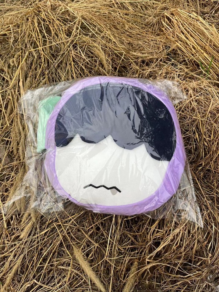 TXT PPULBATU TOMORROW TOGETHER Plush Cushion Soobin Yeonjun Cartoon ...