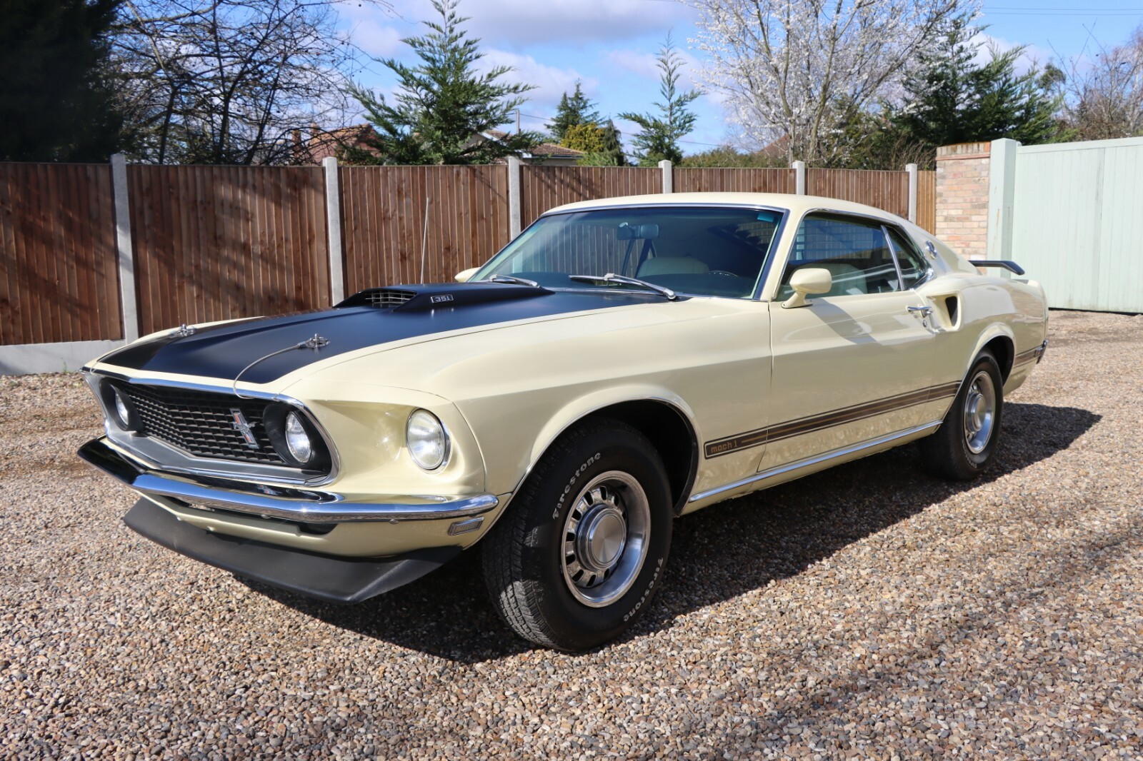 1969 ford mustang mach 1 AUTO 351 | Grelly UK