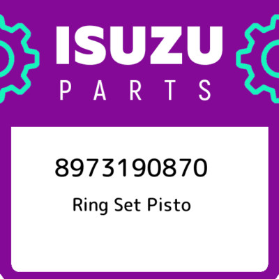8973190870 Isuzu Ring set pisto 8973190870, New Genuine OEM Part | eBay