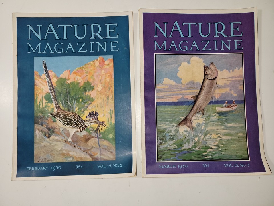 Nature Magazine Vintage Lot of 9 Issues 1930 Texas Illustrations ...