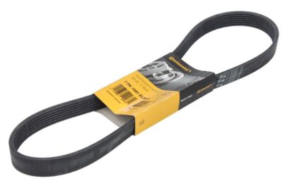 V-Ribbed Belt CONTITECH 7PK1051 ELAST | eBay Australia