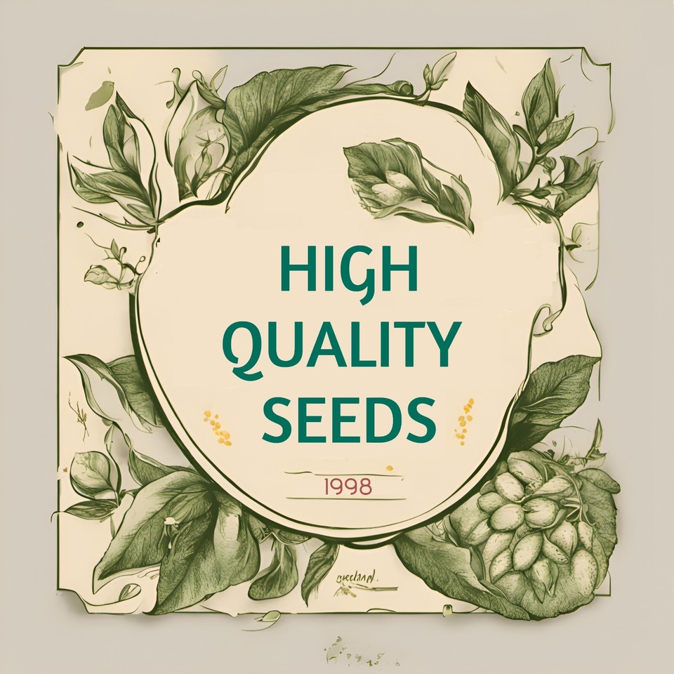 20 Rare Tri-Color Coleus Seeds – Pink, Black & Green Foliage – Easy ...