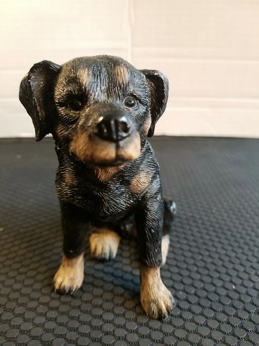Miniature Rottweiler Puppy