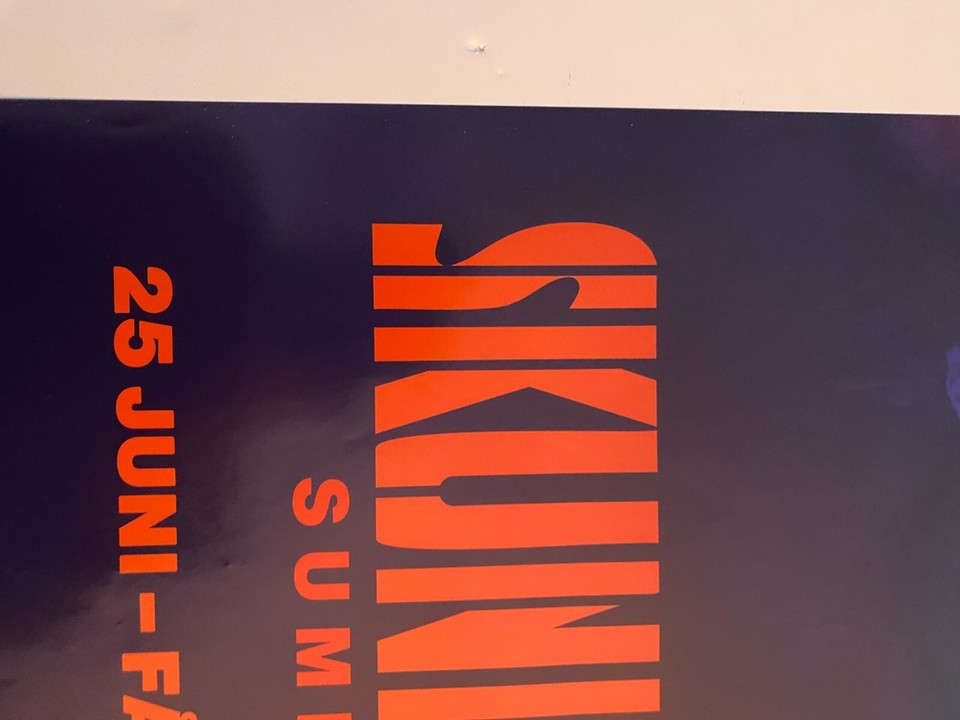 SKUNK ANANSIE SWEDISH LIVE POSTER SUMMER 2025!! INCREDIBLE BAND AND ...