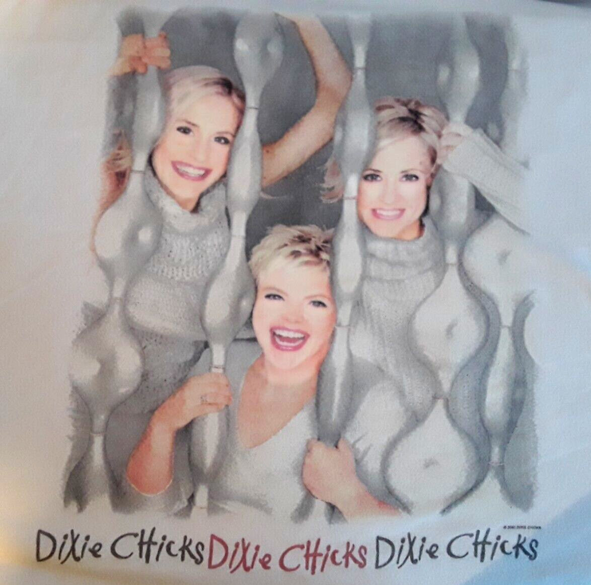 DIXIE CHICKS 2000 HANES TOUR WHITE STRETCH COLLECTABL… - Gem