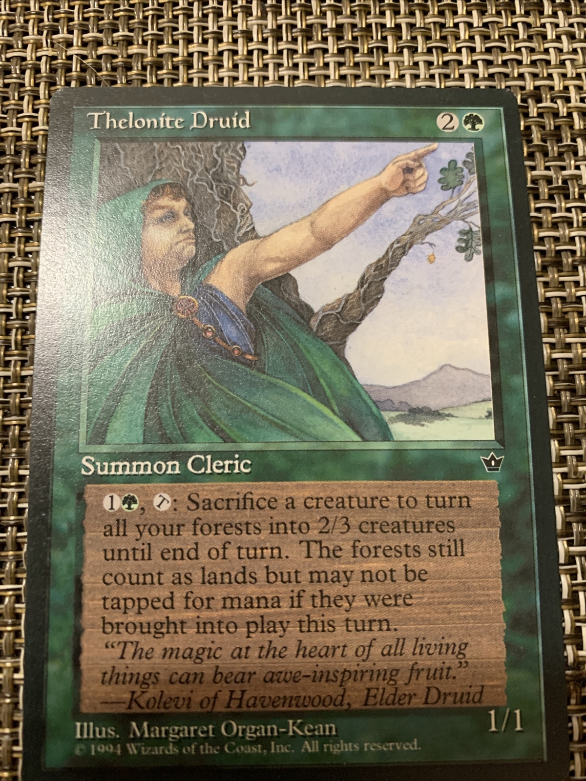 Thelonite Druid | MtG Magic Fallen Empires | English | Lightly Played ...