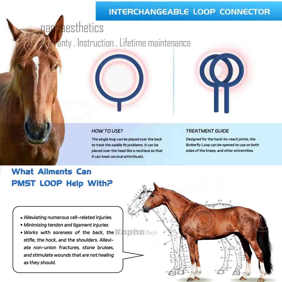 Pmst Loop Emtt Magnetic Therapy Body Pain Relief Physical Pemf Therapy ...