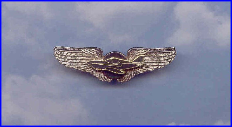 Glassair Airplane Wings Pin Aviator 99's Aircraft | eBay