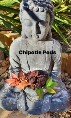 Chipotle Morita Pods Whole Dried chilli chili 10g x2 Shanez | eBay ...