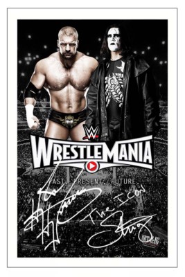 TRIPLE H & STING WWE WRESTLING SIGNED PHOTO PRINT AUTOGRAPH ...