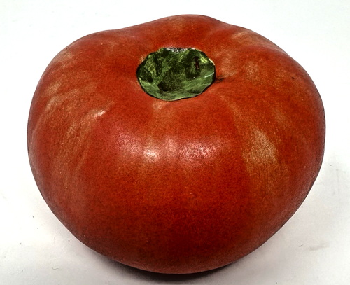 Mary Kirk Kelly Ceramic Sculptures Red Tomato Signed | eBay