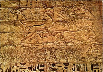 CPM EGYPTE Medinet Habu. Relief of Ramses III hunting the wild bull ...