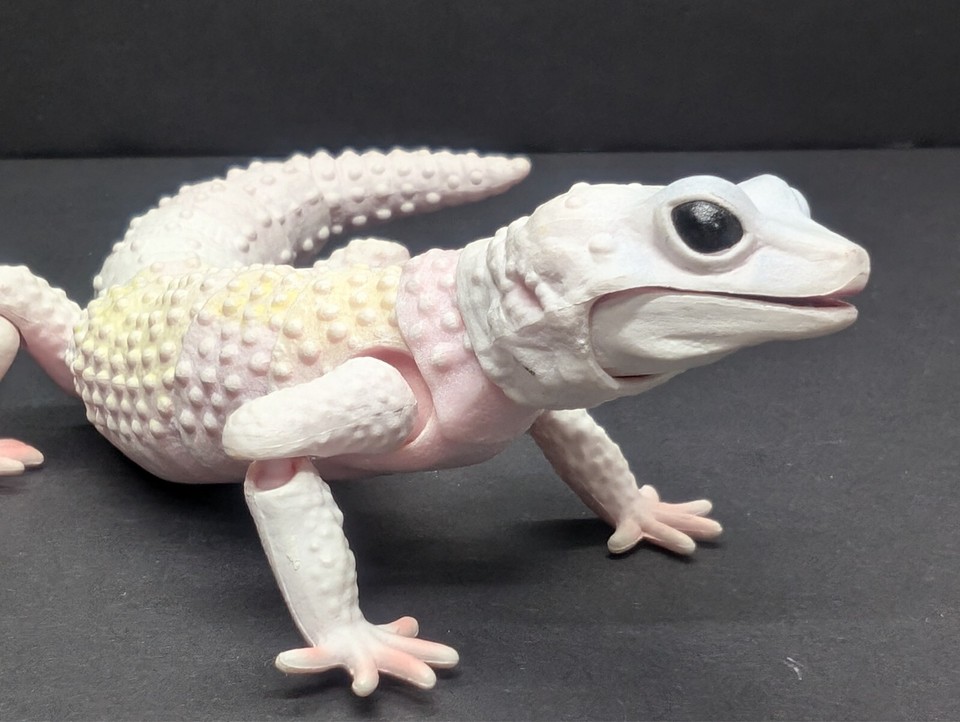 Bandai Gashapon Leopard Gecko 6.3in Realistic Figure Free Shipping from ...