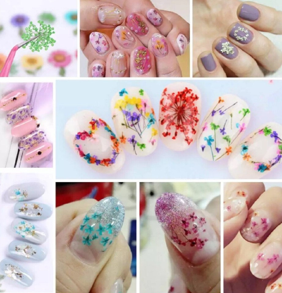 12-Color Real Dried Flowers Nail Art Set – 3D DIY Manicure Decoration ...
