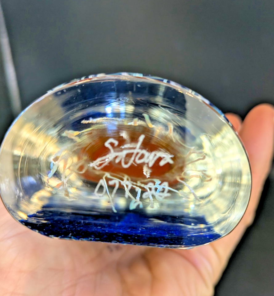7" Orange Satava Jellyfish Seascape - Signed and Dated | eBay