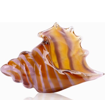 Blown Amber Conch Shell | eBay