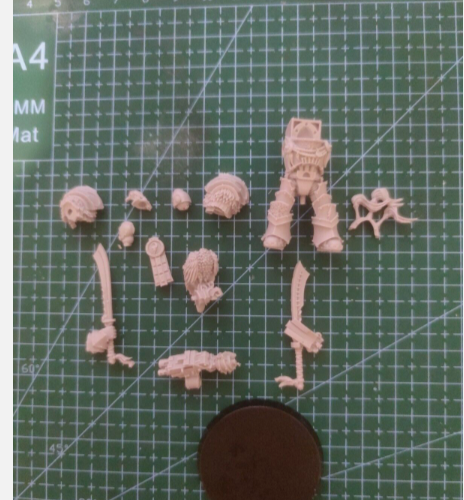 White Scars Legion Praetor in Cataphractii Terminator Armour ...