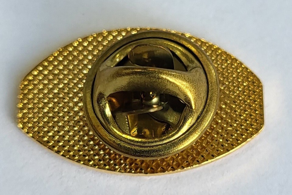 Royal Canadian Air Force RCAF MSE Reunion 1995 Edmonton Lapel Pin | eBay