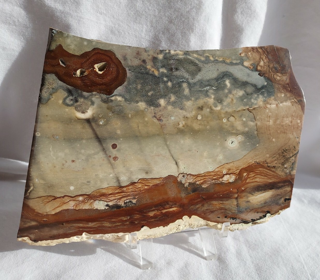 BLUE BIGGS JASPER POLISHED SLAB ~ 373 grams / rough agate mineral rock ...