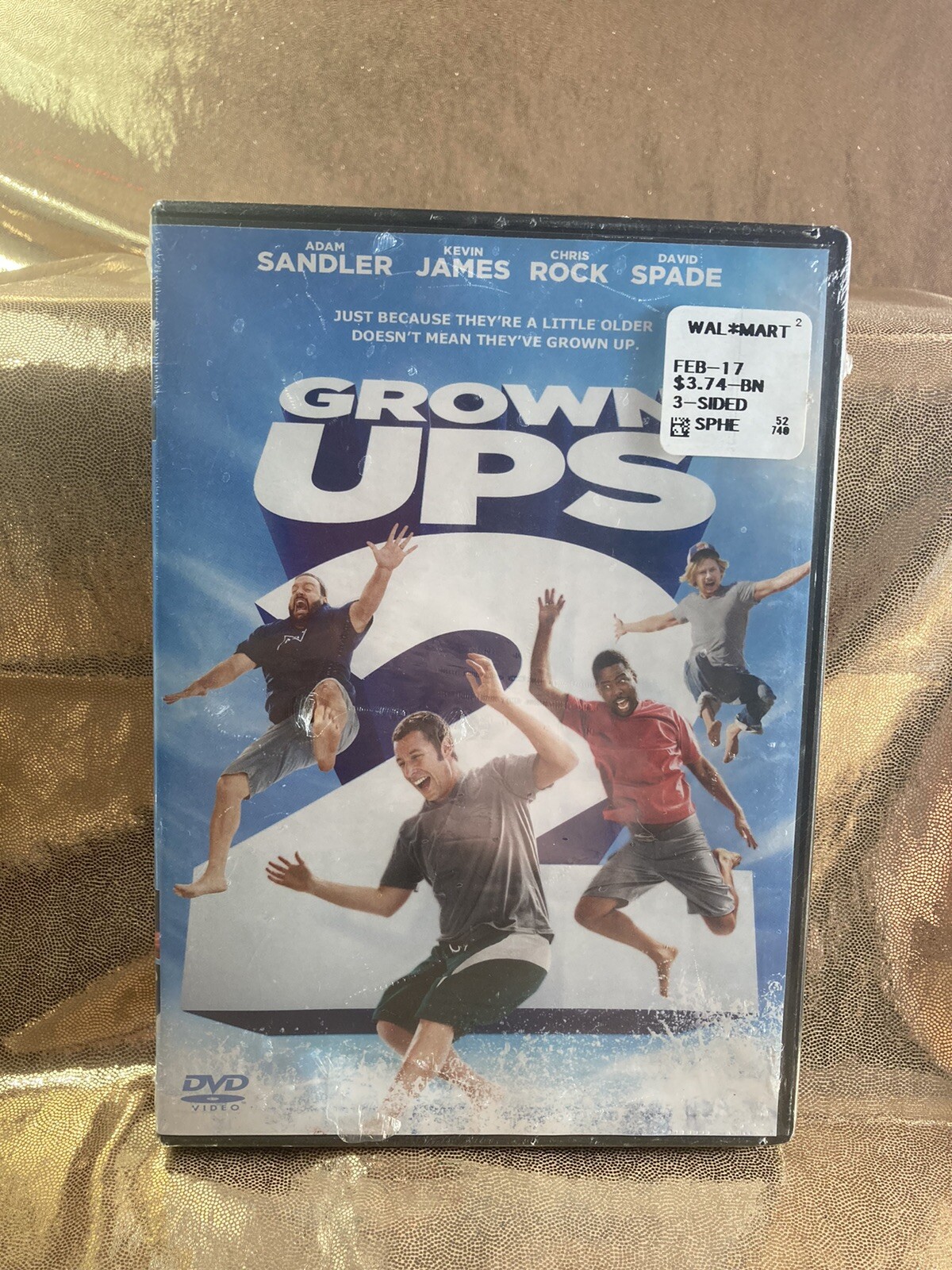 Grown Ups 2 Dvd Cover