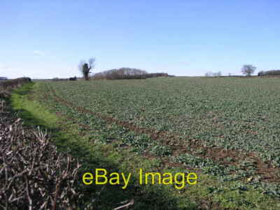 Photo 6x4 Field and Copse Gildingwells A footpath runs by the side of ...