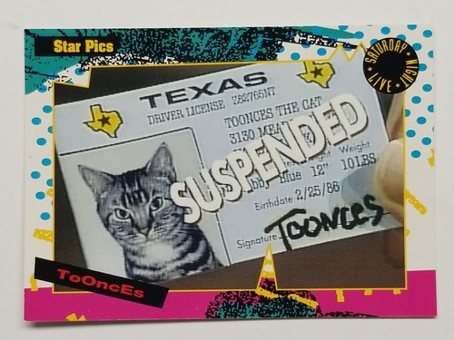 Toonces SNL Card 1992💥Saturday Night Live Star Pics # 25 Suspended ...