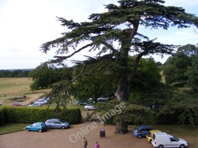 Photo 6x4 Claydon Tree Middle Claydon The view from Claydon House ...