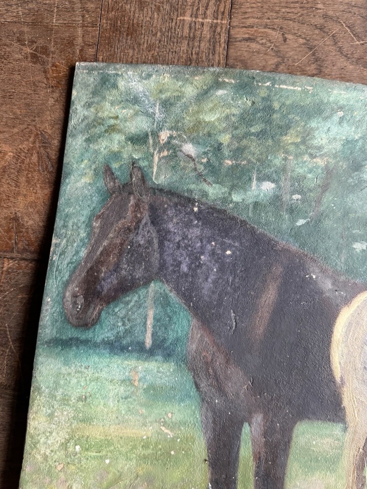 Studio Di Cavallo - Dipinto Fine Del XIX Secolo - Cavalli - Equestre | eBay