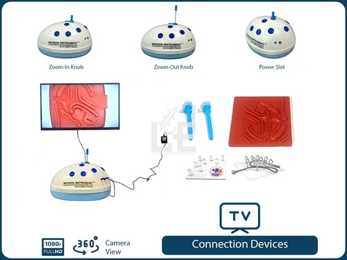 Laparoscopic Simulator Endo-Trainer Oval / Egg Endoscopy Complete ...