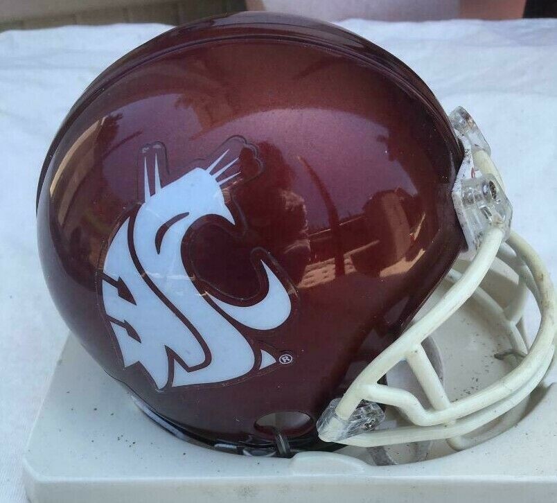 Washington State Cougars NCAA Riddell Authentic MINI Football Helmet ...