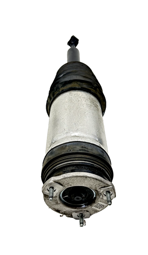 2016-2019 TESLA MODEL X AIR SPRING STRUT SHOCK REAR 1027461-00-G OEM | eBay